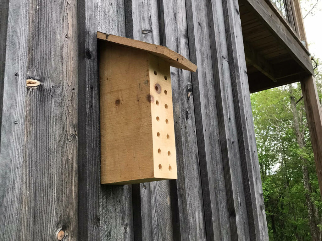 Borer Bees II: The Carpenter Bee House Saga • Katy Morikawa